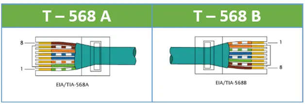 Network Plus N10-008 Objective 1.3 - CertBlaster